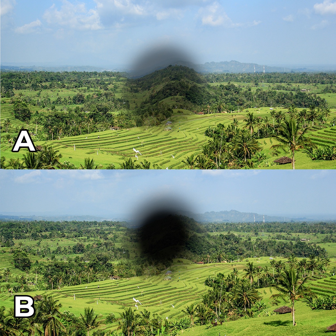 How can visually impaired people benefit from prismatic lenses? - MAFO