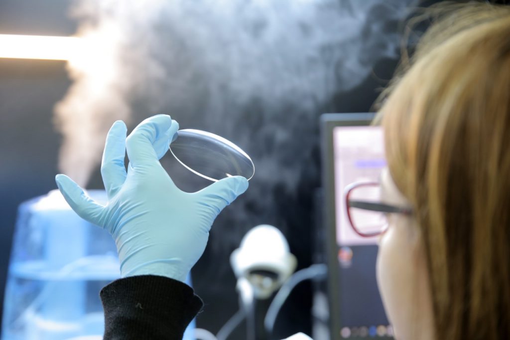 Making it possible: automated cosmetic inspection - MAFO